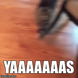 Yaaaas Cat Gif CAT FlipAnim