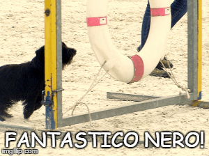 Fantastico Nero! - Imgflip