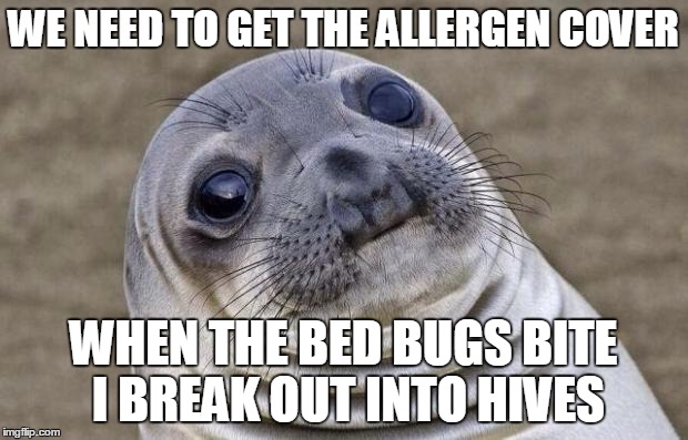 Awkward Moment Sealion Meme - Imgflip