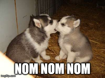 Cute Puppies Meme - Imgflip