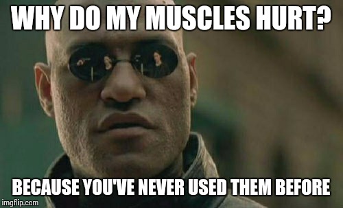 Matrix Muscles Memes Can You Relate….. Or Just Us😅, #gymmeme