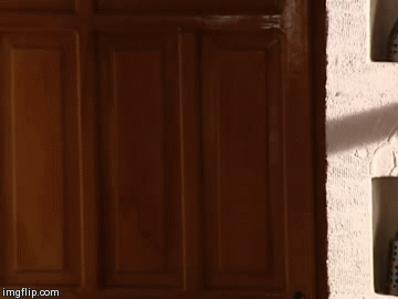 Animated GIF - Imgflip