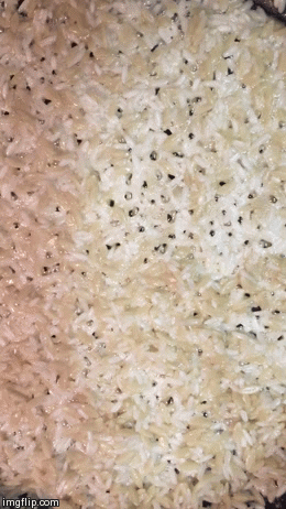 Tripophobia With Cooking Rice - Imgflip