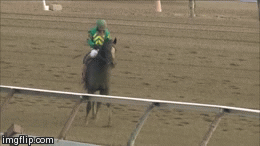 Honor Code - Imgflip