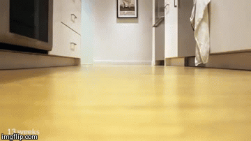 Animated GIF - Imgflip