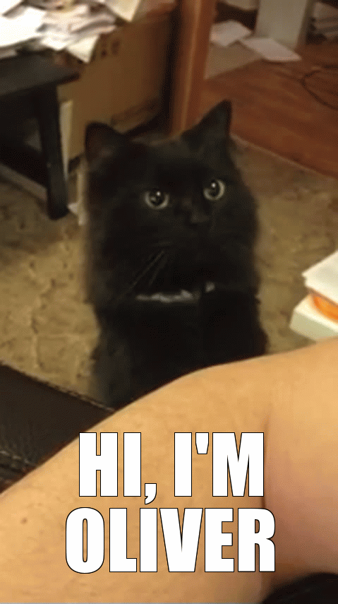 Oliver speaks - Imgflip