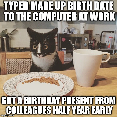 displaced cat Memes & GIFs - Imgflip