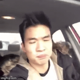 Just An Average Gif - Imgflip