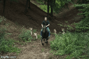 Zoltan The Wolfman highlights - Imgflip