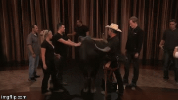 Conan's encounter with an eager water buffalo - Imgflip