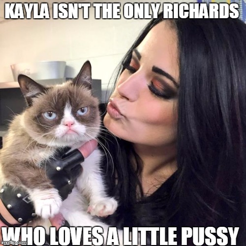 Image tagged in wrestling,grumpy cat - Imgflip