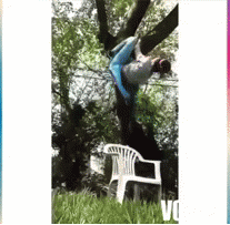 This is why I don't climb trees - Imgflip