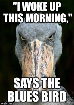 Scary bird - Imgflip