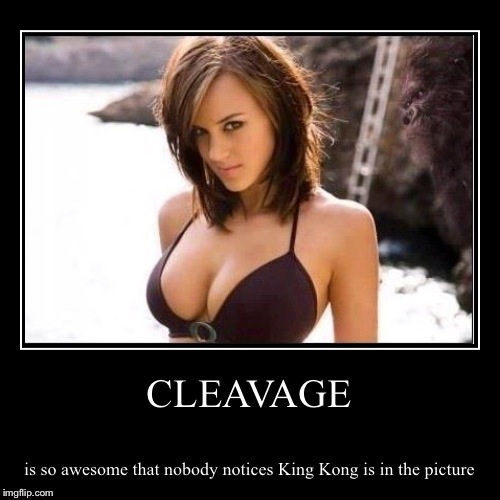 CLEAVAGE - Imgflip
