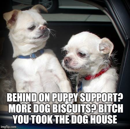 Talking dogs - Imgflip