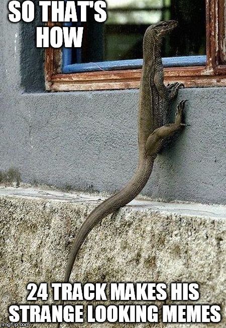 Lizard looking through window - Imgflip