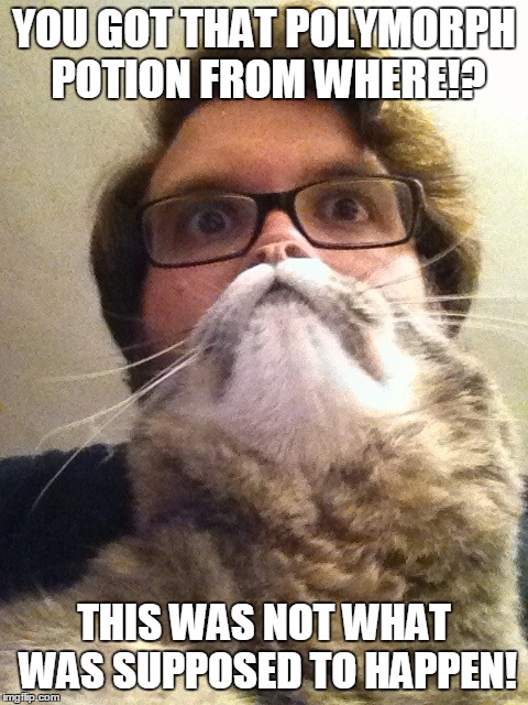 Surprised CatMan Meme - Imgflip