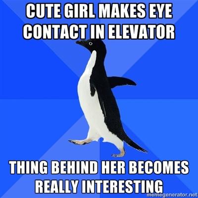 Socially Awkward Penguin Meme - Imgflip