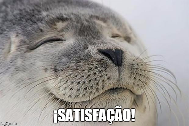Satisfied Seal Meme - Imgflip