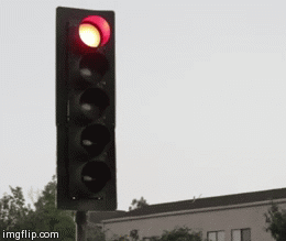 Cat Race crash & flip off - Imgflip