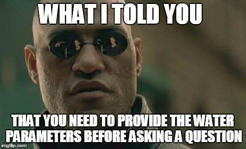 Matrix Morpheus Meme - Imgflip