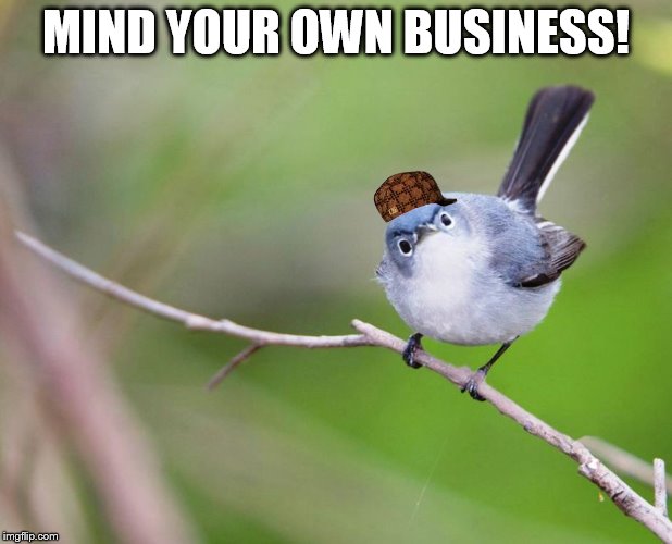 Image tagged in myob,scumbag - Imgflip