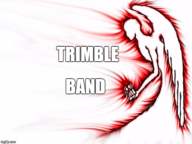 Image tagged in trimble band - Imgflip