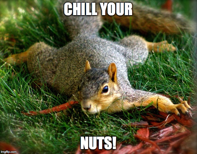 Image tagged in debnair nature series - Imgflip