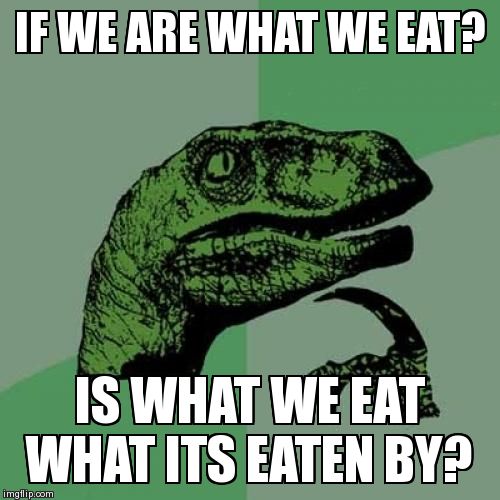 Philosoraptor Meme - Imgflip