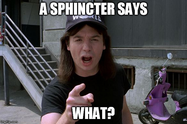 Awkward Moment Sealion Meme - Imgflip