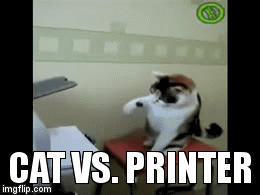 cat vs. printer - Imgflip