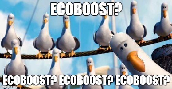 Nemo Birds - Imgflip