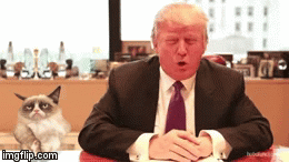 Grumpy & Trumpy - Imgflip
