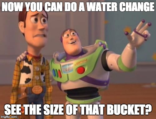 X, X Everywhere Meme - Imgflip