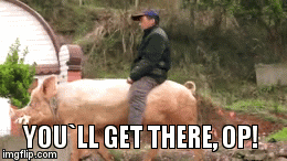 Animated GIF - Imgflip