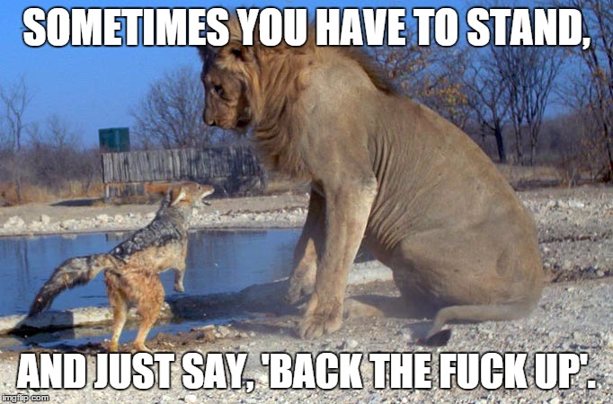 Image tagged in animal,funny - Imgflip