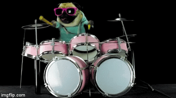 Animal Drums Gif