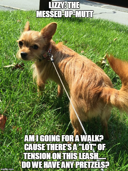 Lizzy: The Messed-Up-Mutt - Imgflip