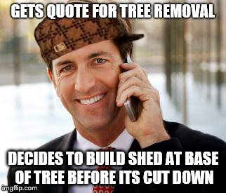 could have let most of the branches fall. home owner didn't care or ...