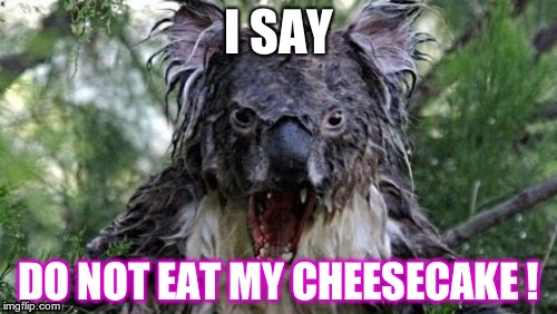 Angry Koala Meme - Imgflip