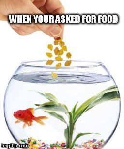 Image tagged in fish food - Imgflip