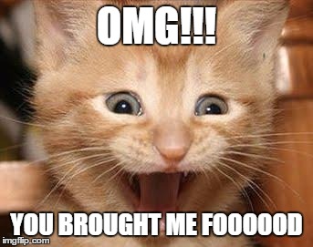 Excited Cat Meme - Imgflip