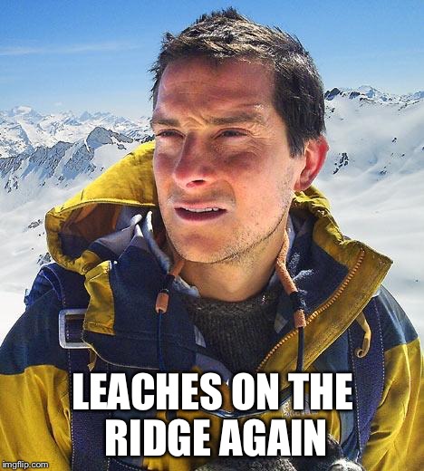 Bear Grylls Meme - Imgflip