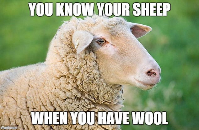 Boardroom Meeting Suggestion Meme - Imgflip