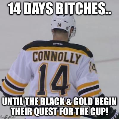 Image tagged in 14 days until the puck drops for real go bruins - Imgflip