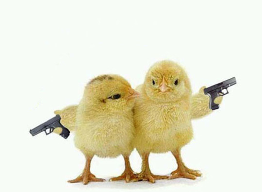Gangster Chicks Blank Template Imgflip
