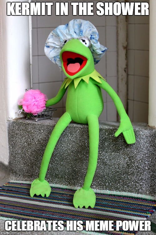 Kermit Shower Memes