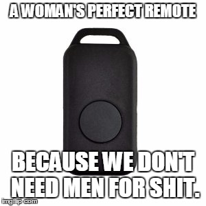 Woman's perfect remote - Imgflip