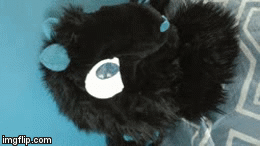 Goat Turnaround - Imgflip