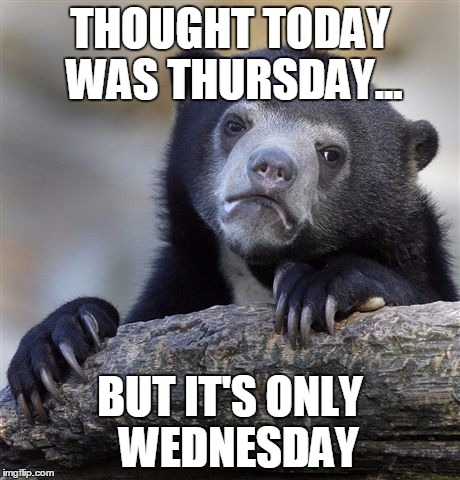 Confession Bear Meme - Imgflip